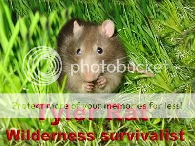 BROTM July Voting Poll and Contestant descriptions.... - The WoodenBoat ...