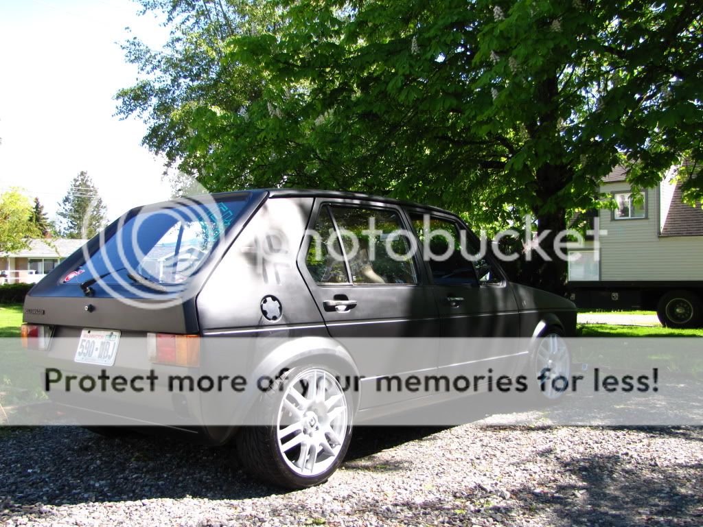 Pacific Northwest Rabbit Photos | Page 12 | VW Vortex - Volkswagen Forum